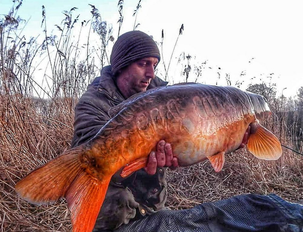 Frant Lakes Sussex / Kent Carp & Coarse Fishing - iBookfishing. Fishing ...