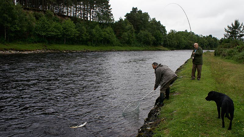 Loch Awe opens for fishing with online bookings - iBookfishing. Fishing ...