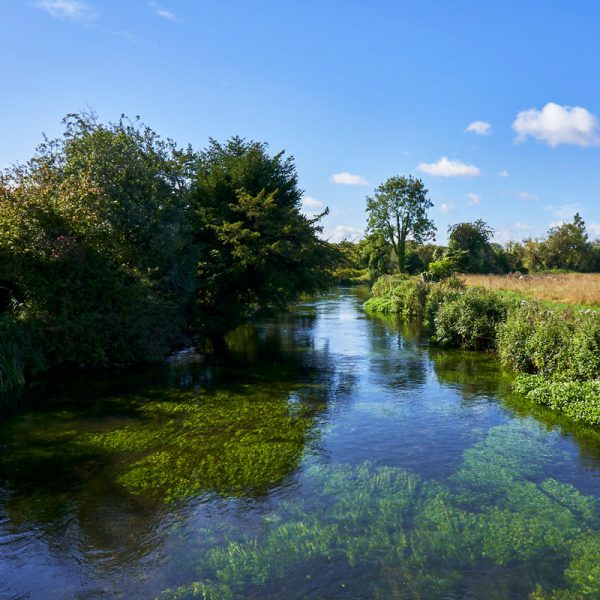 Wherwell Estate, Chalkstream Fly Fishing. River Test, Hampshire ...